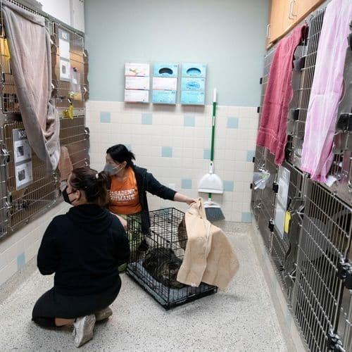 Nebraska Breaking News Headlines Today | Ground News