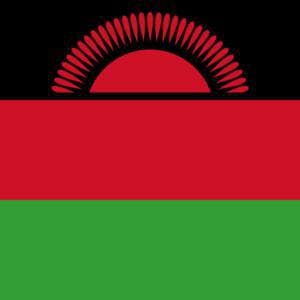 Malawi Breaking News Headlines Today | Ground News
